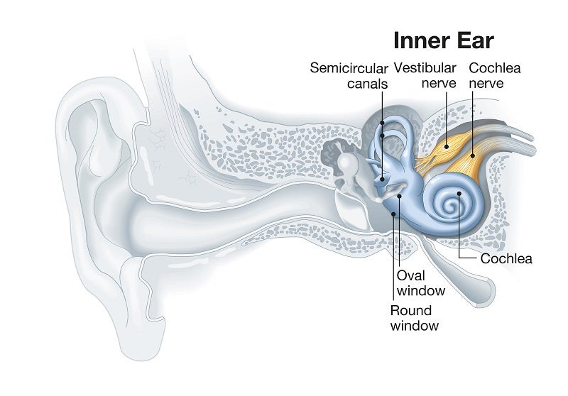 M ni re s Disease Causes Symptoms And Treatments